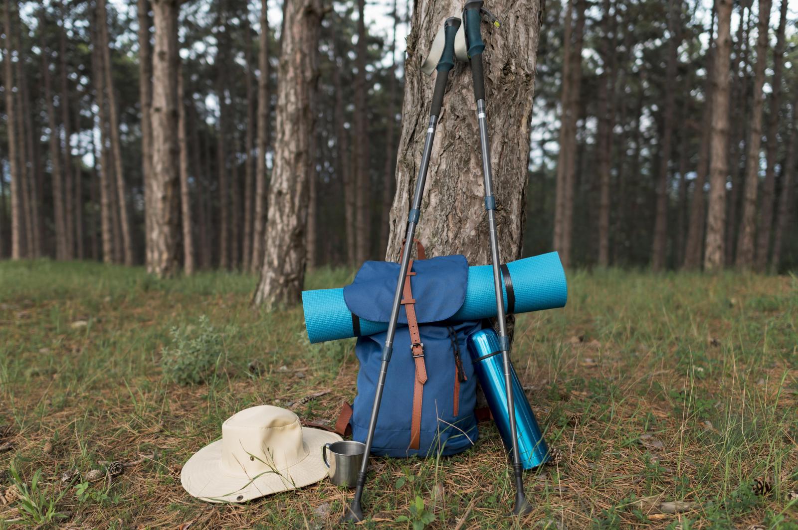 Best Survival Supplies Websites | Global Sources