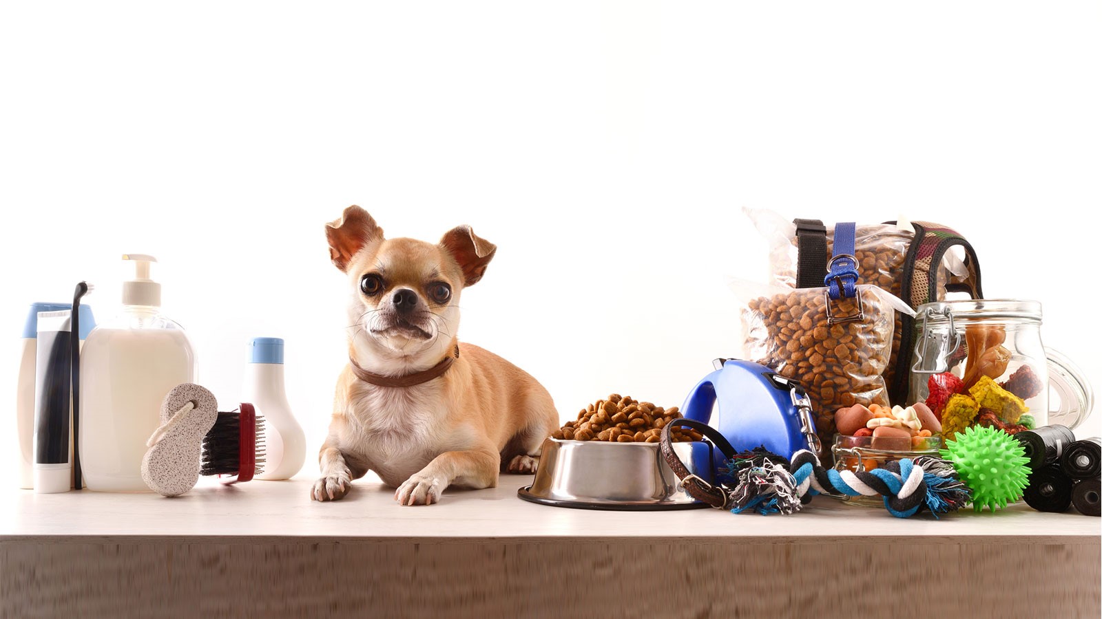 Pet suppliers store