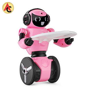 Interactive robot has FPV camera | Global Sources