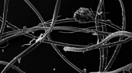6kg wash load = 700,000 microscopic fibers: Study | Global Sources