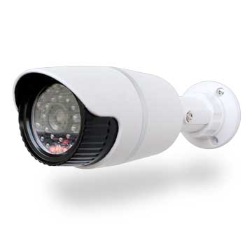 Camera fools intruders | Global Sources