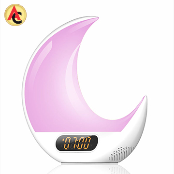LED light fixture, FM radio, clock in 1 | Global Sources